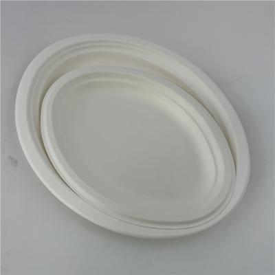 China Biodegradable Tableware Sugarcane Bagasse Pulp Paper Plate Dinnerware Sets for sale