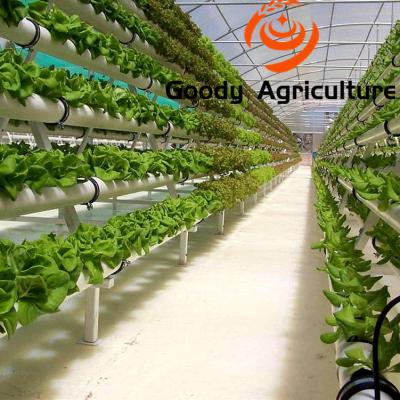 China Sistema hidropônico vertical de Nft da tubulação de Pcv para plantar tomates, alface, pepino, morango e outras frutas e legumes à venda
