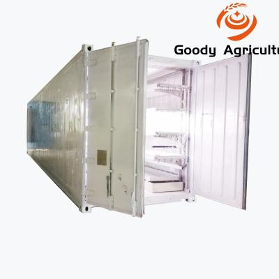 China Container Plant Factory of Nft Hydroponic System for Hydroponic Leafy Vegetables for sale