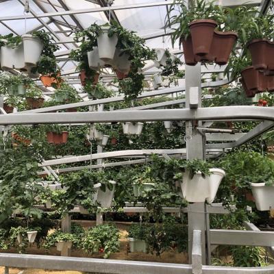 Cina Sistema di coltura idroponica di uso del giardino di Skyplant in vendita
