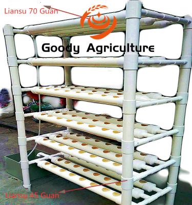 Cina Sistema dell'interno d'agricoltura domestico di coltura idroponica per gli ortaggi a foglia in vendita