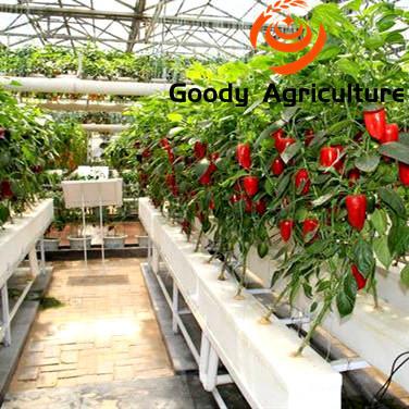 China De Sla van de Serre Hydroponic Nft van pvc van het zoetigheid het Hydroponic Systeem Binnen Planten Te koop