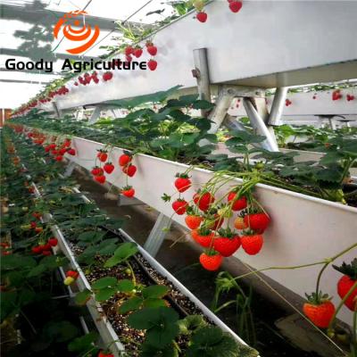 China Hydroponic PVC Gutter Strawberry Growing System for sale