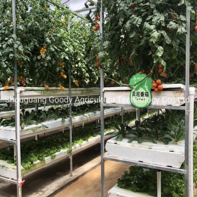 Cina La nuova coltura idroponica bassa lunga personalizzabile di coltivazione di flusso di tempo di impiego coltiva Kit Systems in vendita