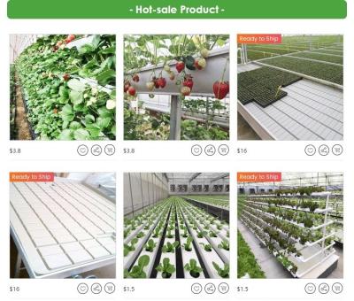 China Customized Size Made in China Flat Pipe Substrate Cultivation Hydroponic Planting Cup for sale