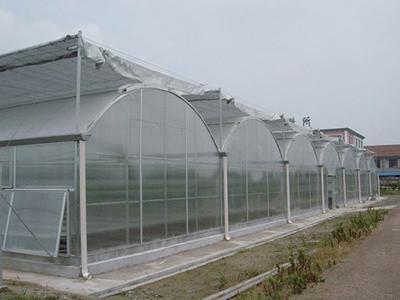 Cina Sistemi idroponici di Nft della serra della copertura di /Glass del film per il pomodoro in vendita