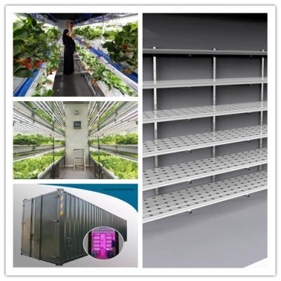 Cina Il Manica idroponico verticale Nft del PVC le reti di tubazioni per l'agricoltura della serra in vendita