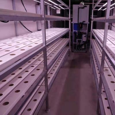 Cina Fabbrica idroponica della pianta del contenitore di 40FT per le aziende agricole e gli ortaggi a foglia astuti in vendita