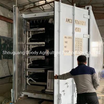 Cina Azienda agricola intelligente che pianta la serra idroponica del piantamento del contenitore idroponico 40-Foot in vendita
