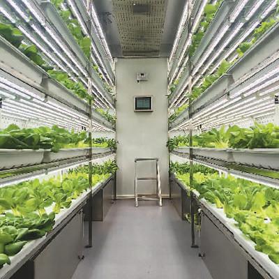 Cina Mobile Hydroponics Plant System Container Plant Factory in vendita