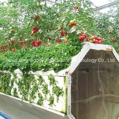 China New Type Aerosol Cultivation Morden Hydroponic Grow Medium à venda