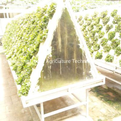 China Aerossol Soilless do cultivo da venda quente que planta o sistema crescente hidropônico vertical do sistema à venda