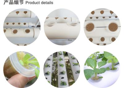 China Hydroponics System Plant Kits for sale
