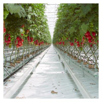 China Jogos de plantação hidropônicos de alta qualidade do sistema e da hidroponia para a plantação vegetal à venda