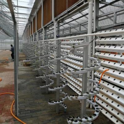 China Hidroponia para os vegetais que plantam e que crescem à venda