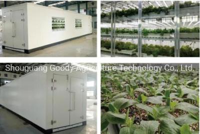 Cina Contenitore mobile di coltura idroponica della fabbrica della pianta di coltura idroponica in vendita