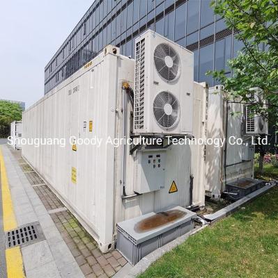 China Hydroponic Installatiefabriek 40FT Containerserre voor Landbouw Te koop