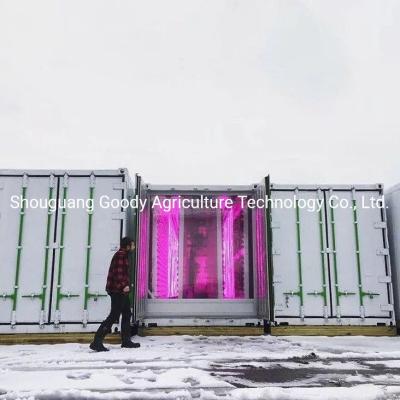 China Binnenlandbouwbedrijf het Groeien Fabriek 40FT van Systeem Hydroponic Mobiele Rekken Container Te koop