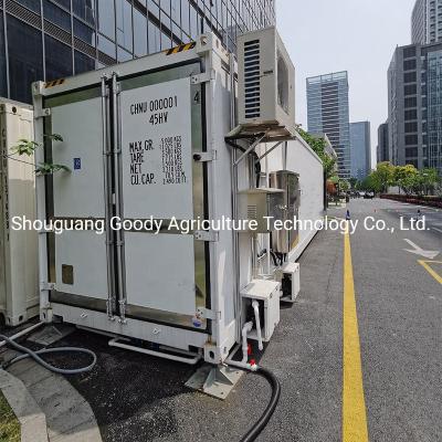 Cina Azienda agricola idroponica automatica che pianta le verdure in contenitori in vendita