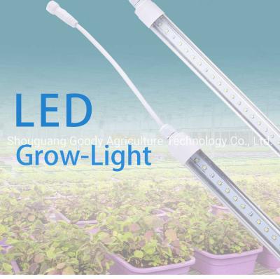 Cina Lampada impermeabile di crescita di pianta di Antivari di luce progressiva delle serre di spettro completo verticale leggero agricolo LED dell'azienda agricola per il giardino dell'interno in vendita