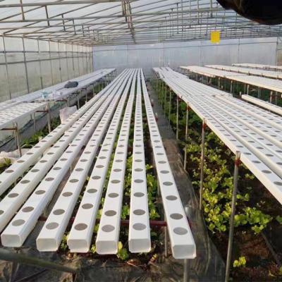 Cina Sistema crescente dell'interno crescente idroponico della lattuga della serra di Manica dei sistemi PVC in vendita