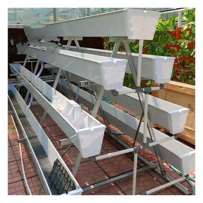 Cina La coltivazione della scatola forma il sistema di coltura idroponica per la piantatura delle verdure in vendita