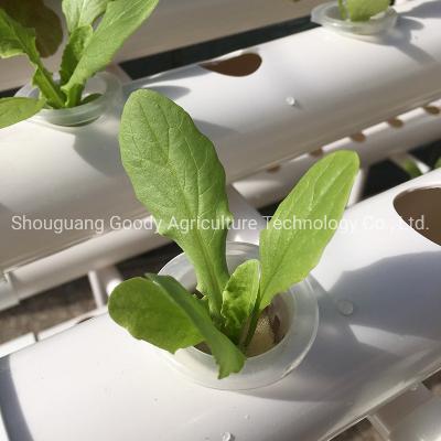 China Nft Hydroponics PVC Channel for Hydroponic Growing System for sale