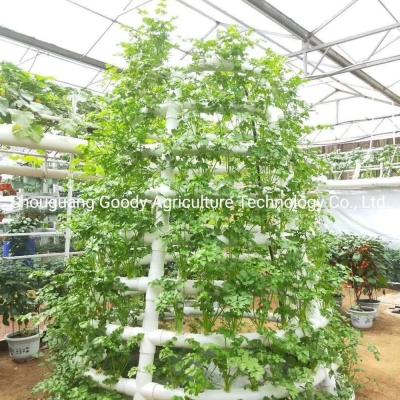Cina Sistema idroponico di Nft del quadrato del PVC dell'azienda agricola di coltura idroponica del contenitore in vendita
