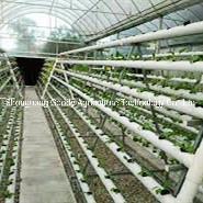 Cina Sistema verticale di coltura idroponica della serra dello strato del PC per gli ortaggi/fiori/frutta in vendita