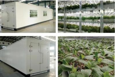 China Recipientes modernos do estilo com hidroponia para a plantação vegetal no recipiente à venda