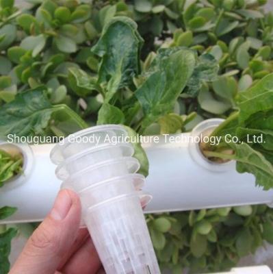 China Aquaponic die Plastic Netto Pot voor Groenten kweekt Te koop