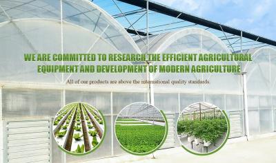 China Greenhouse Hydroponics Growing System Commercial Single  Layer for sale