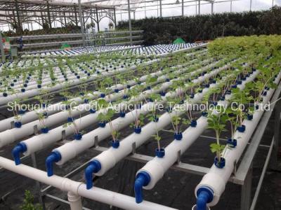 中国 ポリ塩化ビニールの管水耕栽培成長システム商業水耕栽培システム垂直 販売のため