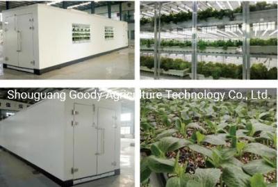 中国 高い生産性の容器の野菜園芸のNft温室 販売のため