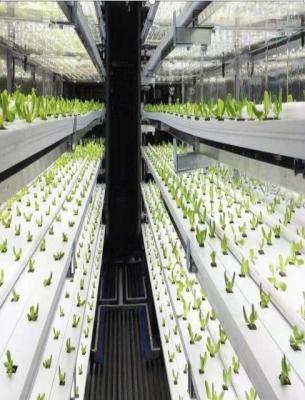 Cina Coltivatore astuto idroponico di plastica della pianta dei vassoi LED di coltura idroponica un contenitore crescente idroponico da 40 piedi in vendita