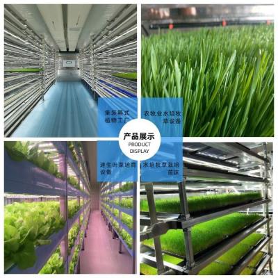 Cina Macchina agricola idroponica della macchina del sistema di coltura idroponica della macchina idroponica automatica idroponica della serra in vendita