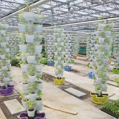 China Commercial Nft Vertical Urban Cherry Tomato Hydroponics System for sale
