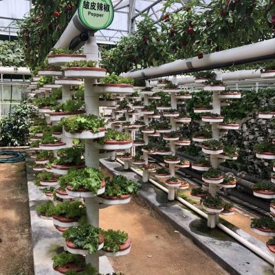 Cina La serra che la coltura idroponica verticale coltiva il sistema per i pomodori pepa il cetriolo in vendita