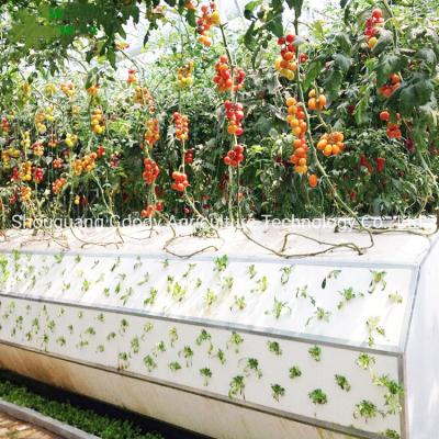 Cina Nuova coltivazione ad aerosol di tipo a torre ad alto rendimento e completamente automatica e sistema di coltivazione fuori suolo/idroponica di lattuga, patate, pomodori, patate, ecc. in vendita