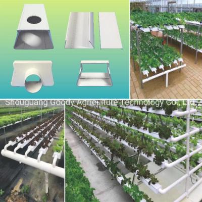 中国 水耕栽培システムのためのNftの水耕栽培ポリ塩化ビニール チャネル 販売のため