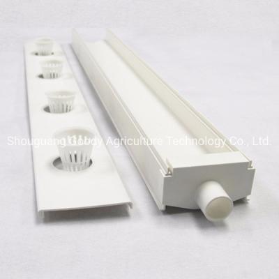 Cina un verticale idroponico del sistema del tubo del PVC della struttura coltiva i sistemi in vendita