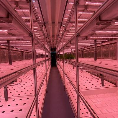 中国 ソイルレス耕作装置の植物の工場水耕栽培容器の農場 販売のため