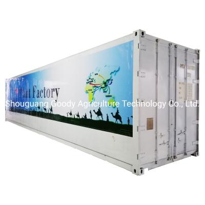 Cina Agricoltura della fabbrica astuta crescente idroponica di piantatura di verticale dell'azienda agricola del sistema del container in vendita