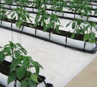 China Horizontal Trough System Cocopeat Grow Gutter for Hydroponics for sale