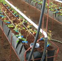 China Horizontal Trough System Cocopeat Grow Gutter for Hydroponics for sale