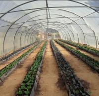 China Hydroponic Planting Trough Plastic Grow Gutter Cocopeat System for sale