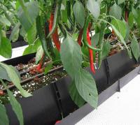 China Hydroponic Growing Systems Greenhouse PP Roll for sale