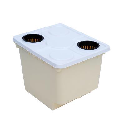 Cina Sistema di coltivazione idroponica a benna olandese Bato Dutch Bucket Planting System per la semina di ortaggi a vite in serra in vendita