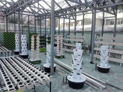 Cina Piantamento Soilless crescente verticale di Aeroponic della colonna dell'aerosol della torre di Systemspineapple della pianta d'appartamento in vendita
