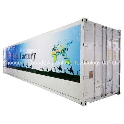 China Complete Hydroponic Nft Growing Container Vertical Growing System Container Greenhouse for sale